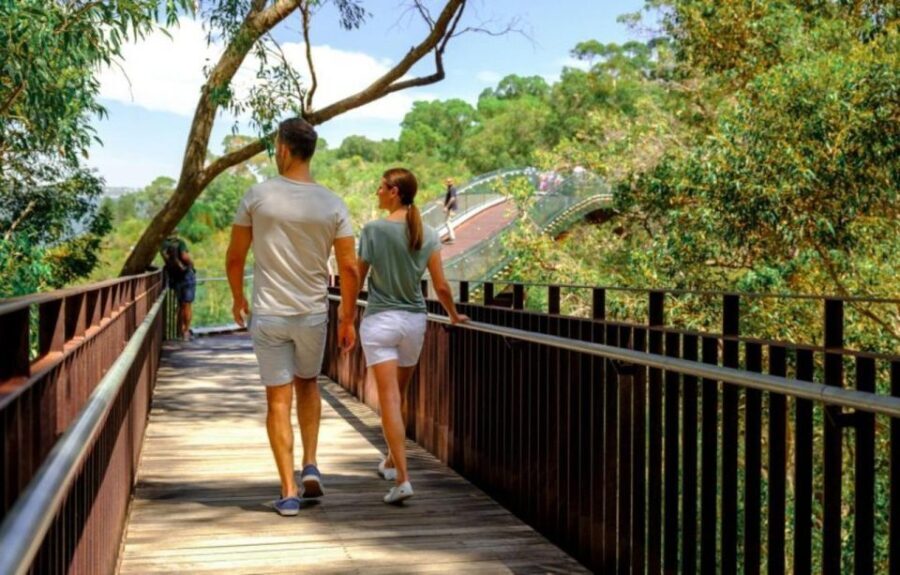 Perth: Kings Park Botanicals & Beyond Guided Hike - Who Will Love This Tour?