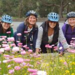 Perth: Kings Park Wildflower Festival Guided Bike Tour - Wildflower Highlights and Scenic Spots