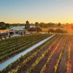 Perth: Margaret River Scenic Flight & Wine Tasting Tour - Practical Considerations & Logistics