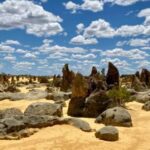Perth: Pinnacles Desert Bush Walk Guided Tour with Lunch - What to Expect on the Day