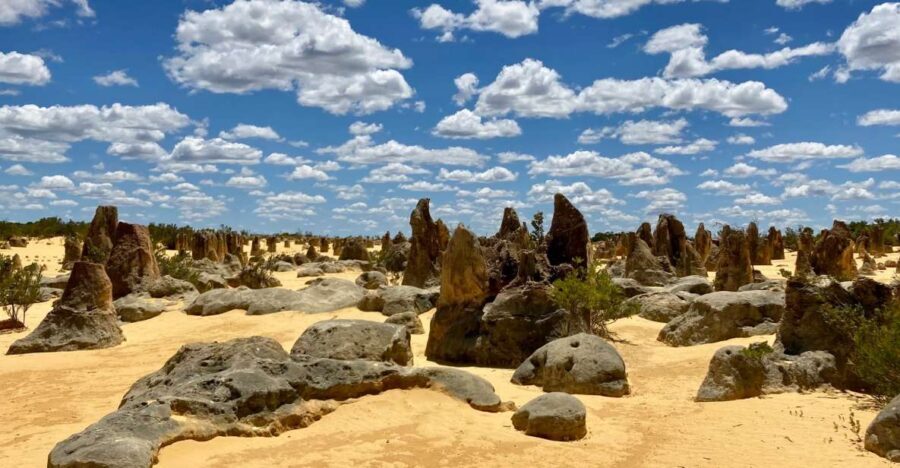 Perth: Pinnacles Desert Bush Walk Guided Tour with Lunch - What to Expect on the Day