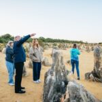 Perth: Pinnacles Desert Sunset and Stargazing with Dinner - Why This Tour Is Worth Considering
