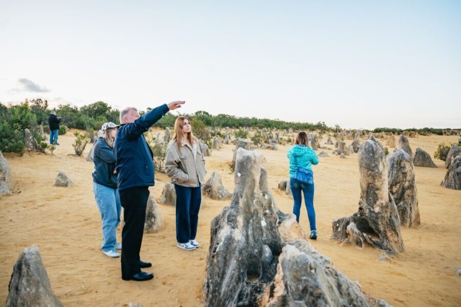 Perth: Pinnacles Desert Sunset and Stargazing with Dinner - Why This Tour Is Worth Considering