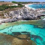 Perth: Rottnest Island Ferry, Bike, Coffee & Lobster Roll - Top Takeaways in Brief