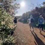 Perth: Swan View Tunnel, Falls, and Eagle View Hike - What to Expect on the Day