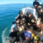 Perth: Swim with Wild Dolphins Tour - The Practical Details That Matter