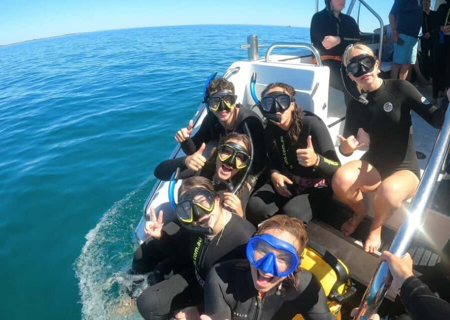 Perth: Swim with Wild Dolphins Tour - The Practical Details That Matter