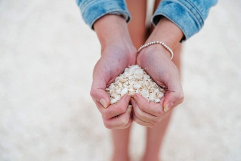 Perth to Exmouth 6-Day Coral Coaster One-Way Journey - Detailed Itinerary Breakdown