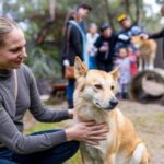 Perth: WA Wildlife Hospital and Native Fauna Encounter Tour - In-Depth: The Hospital Tour