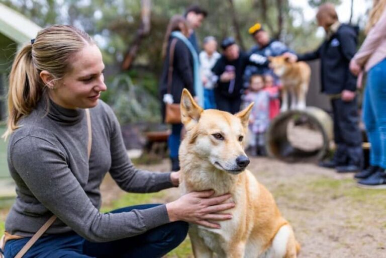 Perth: WA Wildlife Hospital and Native Fauna Encounter Tour - In-Depth: The Hospital Tour