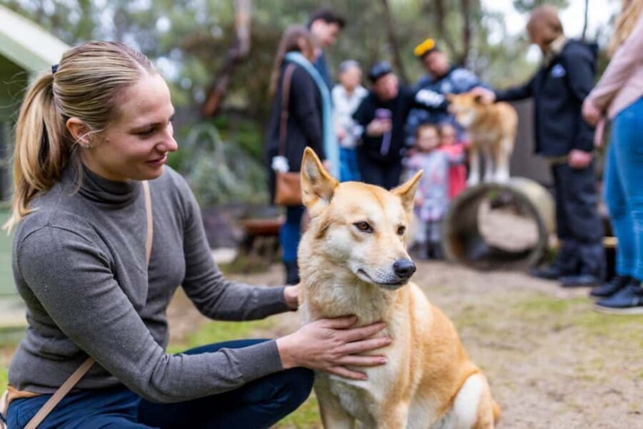 Perth: WA Wildlife Hospital and Native Fauna Encounter Tour - In-Depth: The Hospital Tour
