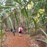 Perth: Waterfalls, Wildflowers & Wandoo Hiking Experience - What You Can Expect from the Tour