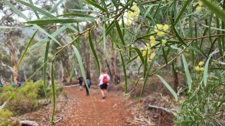 Perth: Waterfalls, Wildflowers & Wandoo Hiking Experience - What You Can Expect from the Tour