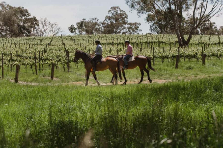 Petaluma: Horseback Riding and Wine Tasting Tour - The Value of the Tour
