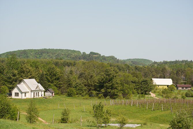 Petite Nation Wine & Cider Tour - Day Trip From Ottawa & Gatineau - Authenticity and Value