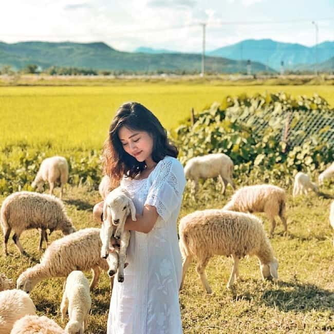 Phan Rang Full-Day: Hang Rai, Vinh Hy, Vineyard & Sheep Farm - Why This Tour is Great Value for Your Money