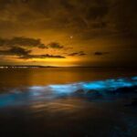 Phang Nga Bay Private Bioluminescence and Sea Canoeing Tour - What Makes This Tour Stand Out?
