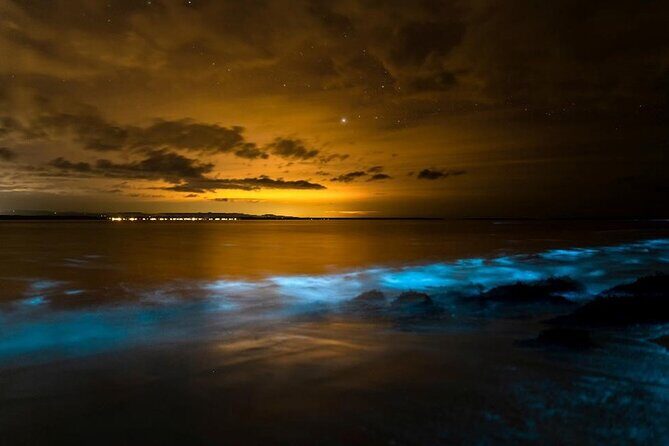 Phang Nga Bay Private Bioluminescence and Sea Canoeing Tour - What Makes This Tour Stand Out?