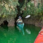 Phang Nga Bay Tour by Speed Boat - What to Expect on the Day