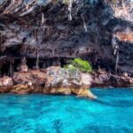 Phi Phi Islands Speedboat Tour: Khai & Maya - Authentic Traveler Perspectives