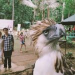 Philippine Eagle Center/Shopping - Key Points