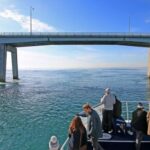 Phillip Island: 1-Hour Cape Woolamai Scenic Cruise - The Practical Side: Logistics, Cost, and Suitable Travelers
