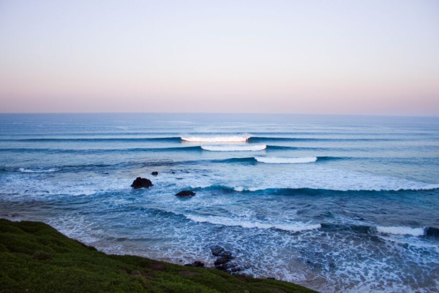 Phillip Island: Hike and Penguin Parade - 8 pax Small Tour - The value of this tour