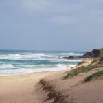 Phillip Island Penguin and wildlife Tour - Who Would Love This Tour?
