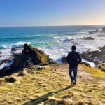 Phillip Island Penguin Parade Afternoon Tour from Melbourne - What Makes This Tour Stand Out?