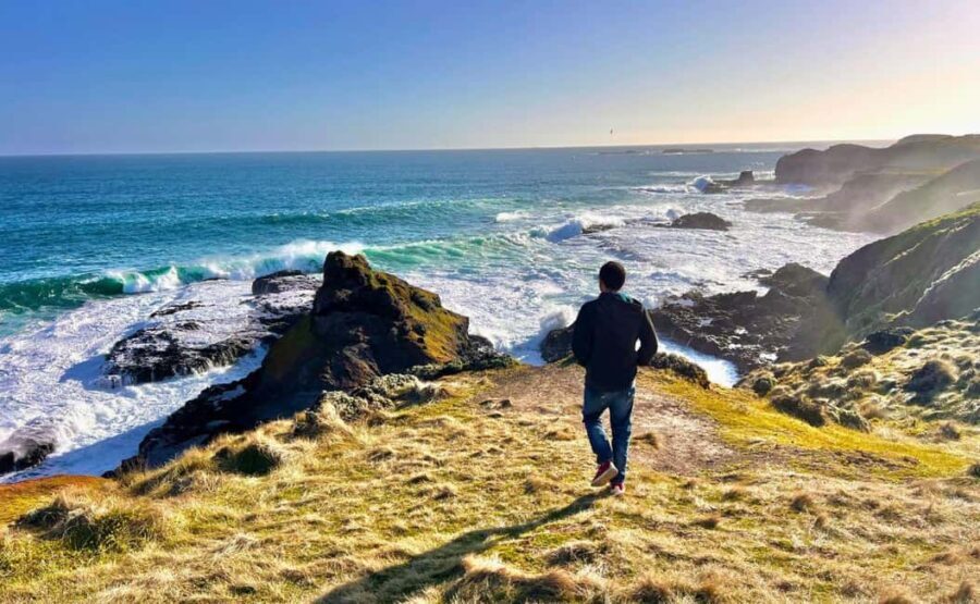 Phillip Island Penguin Parade Afternoon Tour from Melbourne - What Makes This Tour Stand Out?