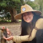Phillip Island Penguin Parade and Wildlife Tour from Melbourne - What Does the Tour Offer for Your Money?