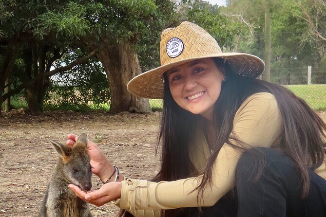 Phillip Island Penguin Parade and Wildlife Tour from Melbourne - What Does the Tour Offer for Your Money?