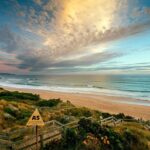 Phillip Island Penguin Parade Day Trip with Koala Conservation Reserve Visit - The Experience in Perspective