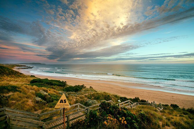 Phillip Island Penguin Parade Day Trip with Koala Conservation Reserve Visit - The Experience in Perspective