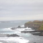 Phillip Island Penguin Parade Private Tour - What to Expect at the Penguin Parade