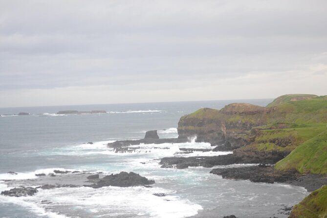 Phillip Island Penguin Parade Private Tour - What to Expect at the Penguin Parade