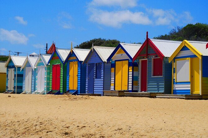 Phillip Island Penguin Parade Tour max 11 Hotel Pickup - An In-Depth Look at the Itinerary