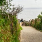 Phillip Island Penguin Parade with Expert Local Guide - Who Will Love This Tour?