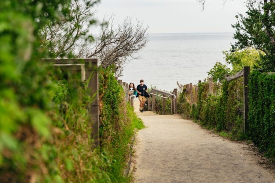 Phillip Island Penguin Parade with Expert Local Guide - Who Will Love This Tour?