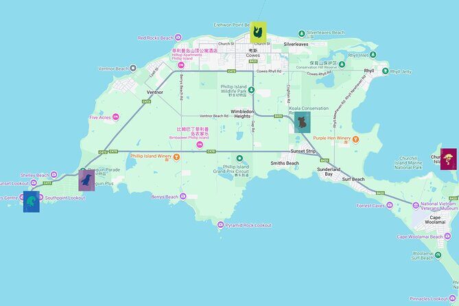 Phillip Island Private Tour: Penguin Parade & Wildlife Day - Why Choose This Tour?