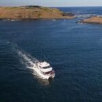 Phillip Island Seal-Watching Cruise - Final Thoughts