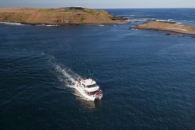 Phillip Island Seal-Watching Cruise - Final Thoughts