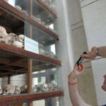Phnom Penh: Killing Fields and S-21 Museum Tour - The Practicalities