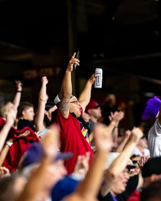Phoenix: Arizona Diamondbacks Baseball Game at Chase Field - What Makes This Tour Special?