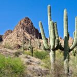 Phoenix/Scottsdale: Apache Trail Tour & Canyon Lake Cruise - The Highlight: Canyon Lake and Its Scenic Cruise