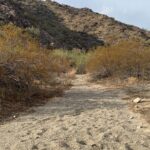 Phoenix South Mountain Hiking Tour Experience - What’s Included and What’s Not