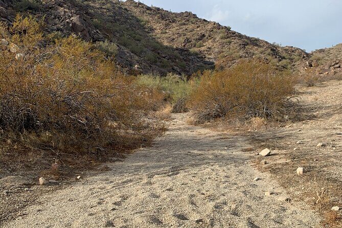 Phoenix South Mountain Hiking Tour Experience - What’s Included and What’s Not