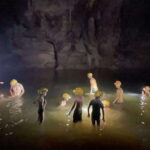 Phong Nha - Ke Bang: Paradise Cave & Dark Cave 1 Day Tour - Real Traveler Insights & What to Expect