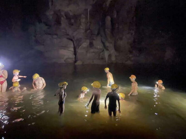 Phong Nha - Ke Bang: Paradise Cave & Dark Cave 1 Day Tour - Real Traveler Insights & What to Expect
