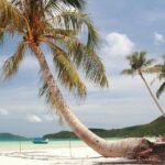 Phu Quoc Discover South And North Together_Private tour - What the Reviews Say